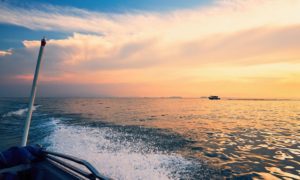 Gdynia i Hel, czyli wycieczka na Półwysep Helski - Zatrzymaj się w ...